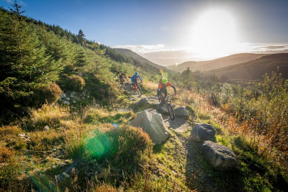 Rostrevor Mountain Bike Trails - East Coast Adventure